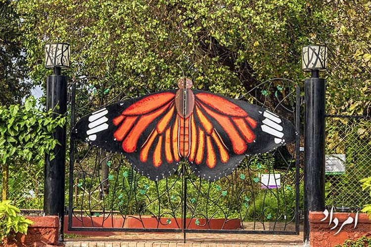 Shapurji Palanji native biodiversity garden - Amordadnews