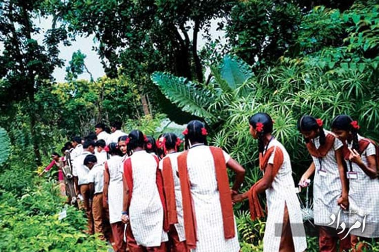 Shapurji Palanji native biodiversity garden - Amordadnews